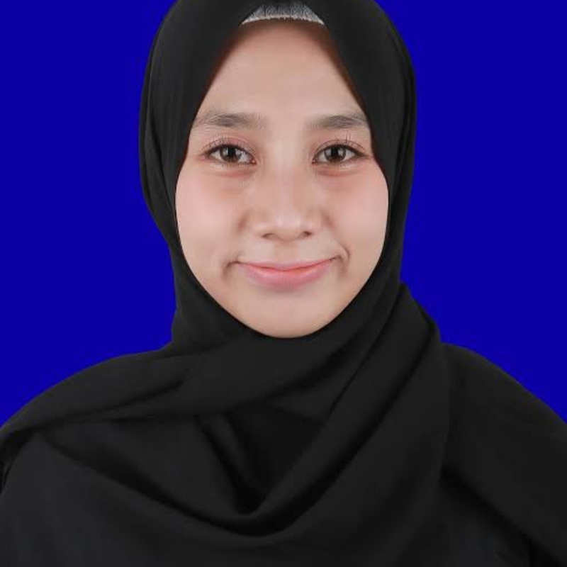 Website Pernikahan Deni Hidayat dan Dini herdianti